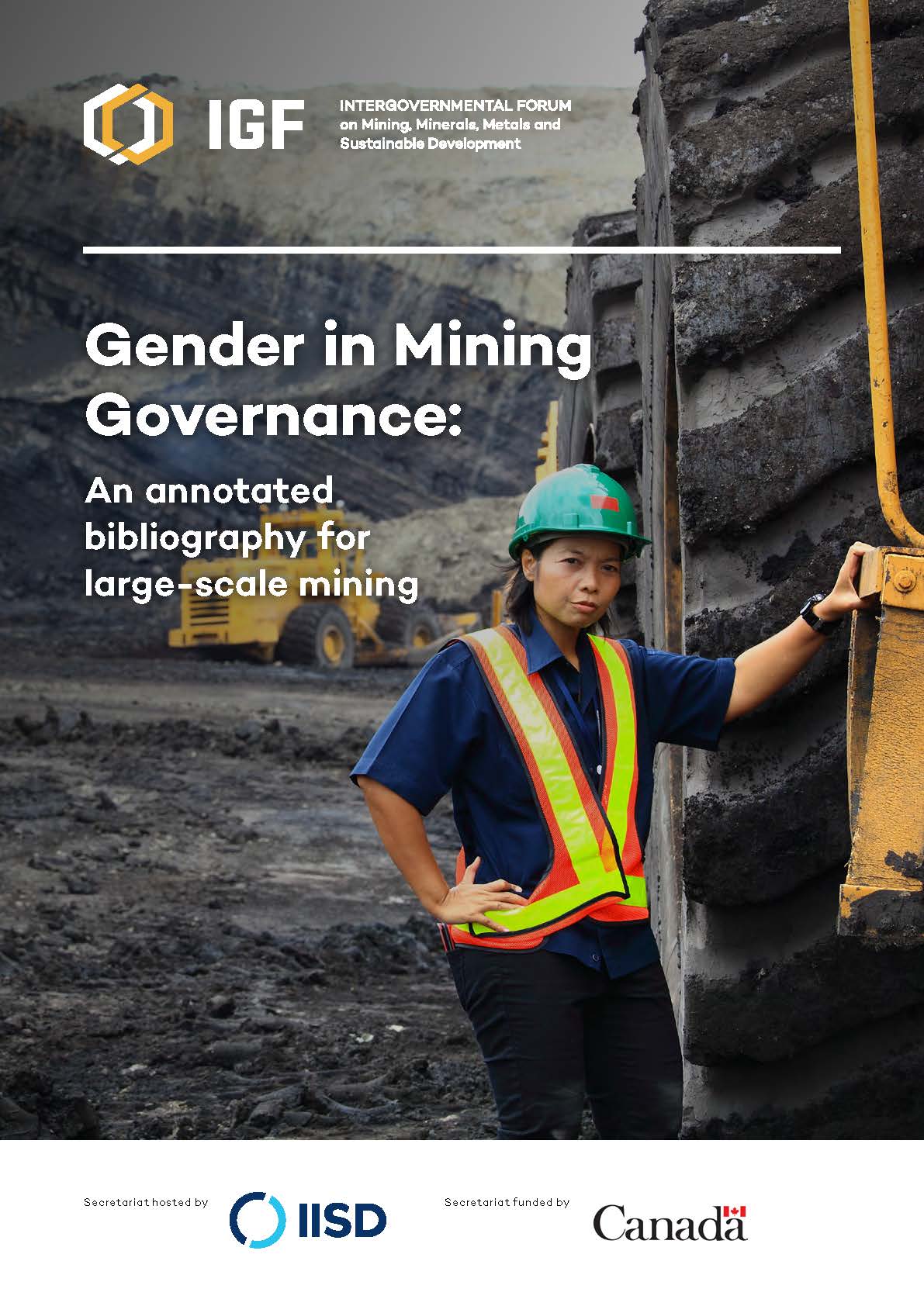 Resources Archive - Page 5 of 18 - Intergovernmental Forum ...