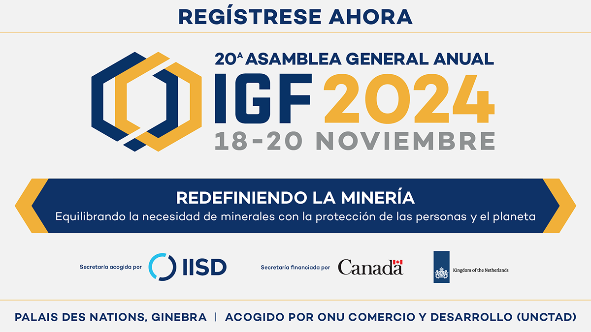 IGF 20ª Asamblea General Anual - Foro Intergubernamental